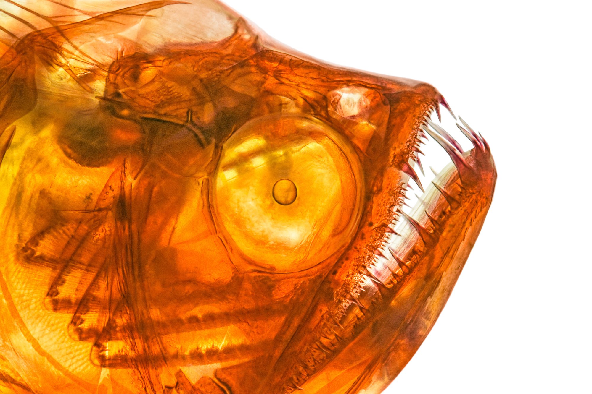 Diaphonization Process | Article | Mikolji | River explorer