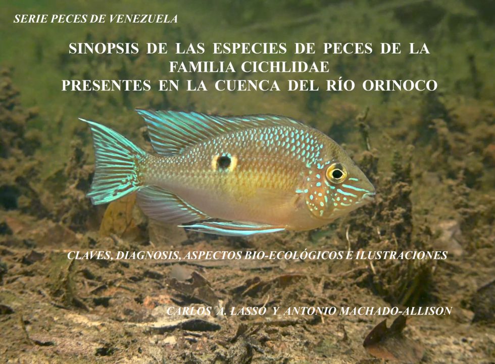 Sinopsis de las especies de peces de la familia Cichlidae presentes en ...